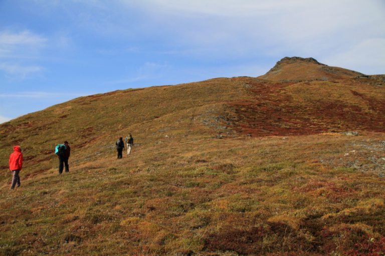 Kobuk Valley & Gates of the Arctic National Parks - Canoe and Hike