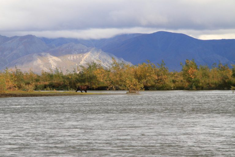 Kobuk Valley & Gates of the Arctic National Parks - Canoe and Hike