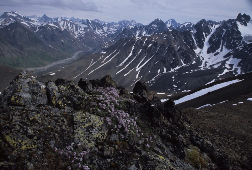 Alaska's Best Hiking Trip: Explore Turquoise Lake in Lake Clark NP