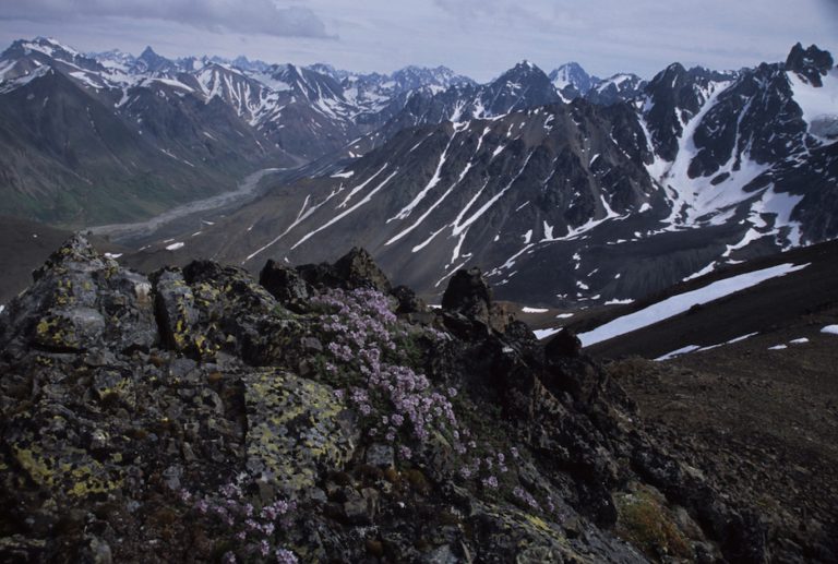Alaska's Best Hiking Trip: Explore Turquoise Lake in Lake Clark NP