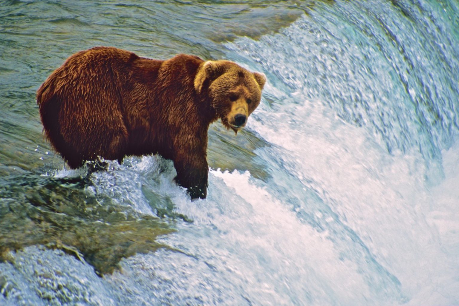 Valley of 10000 Smokes - Backpacking in Katmai National Park